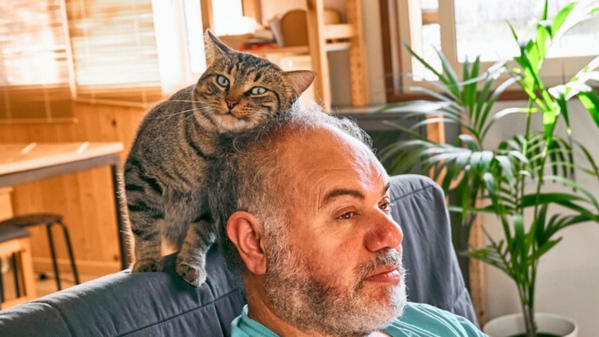 ¿Qué significa que mi gato se siente en mi cara?