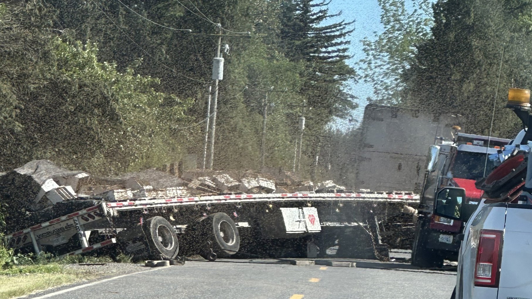 Warning after 250,000,000 bees escape when lorry crashes