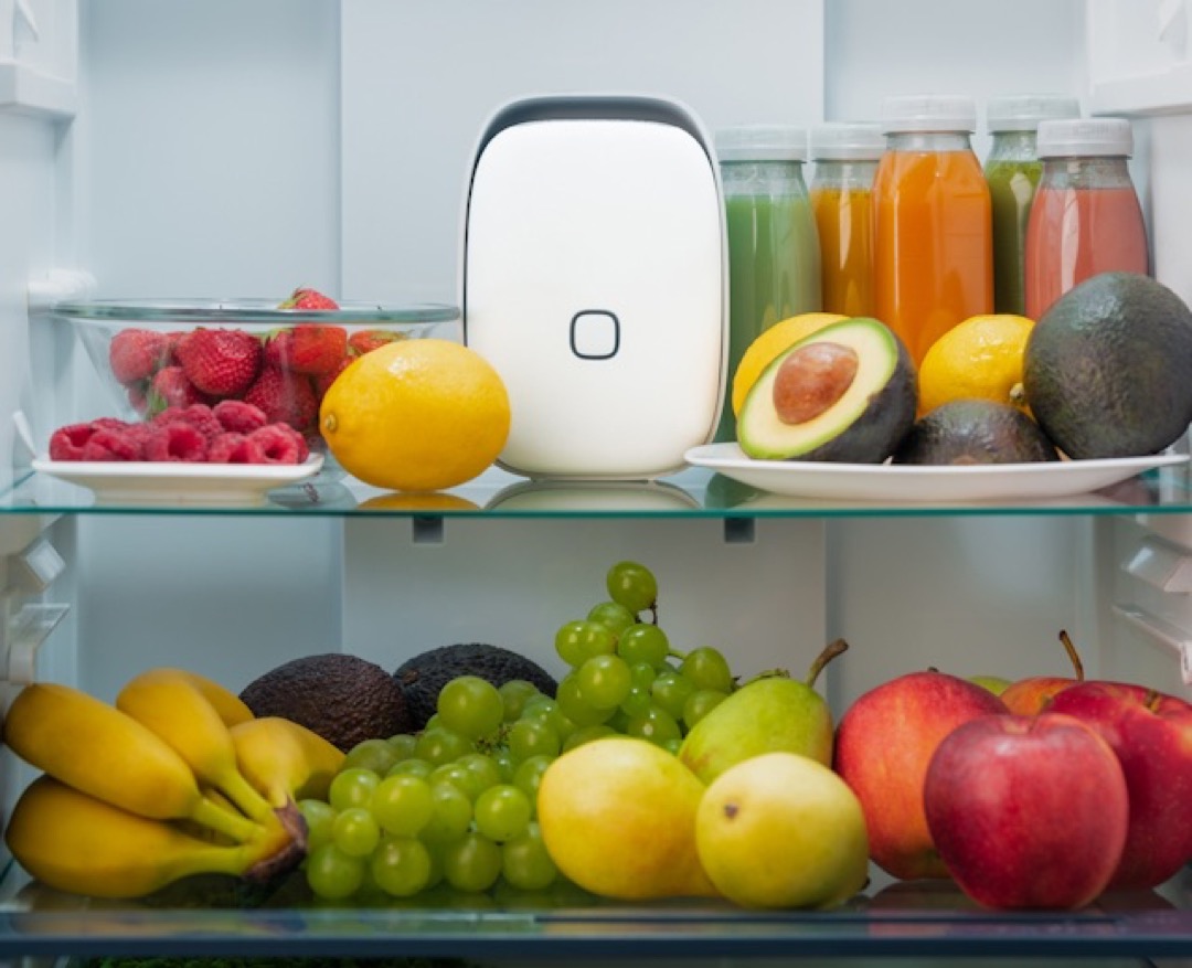 I tried the Shelfy fridge purifier - Here's how it keeps my fruits fresh and saves me money