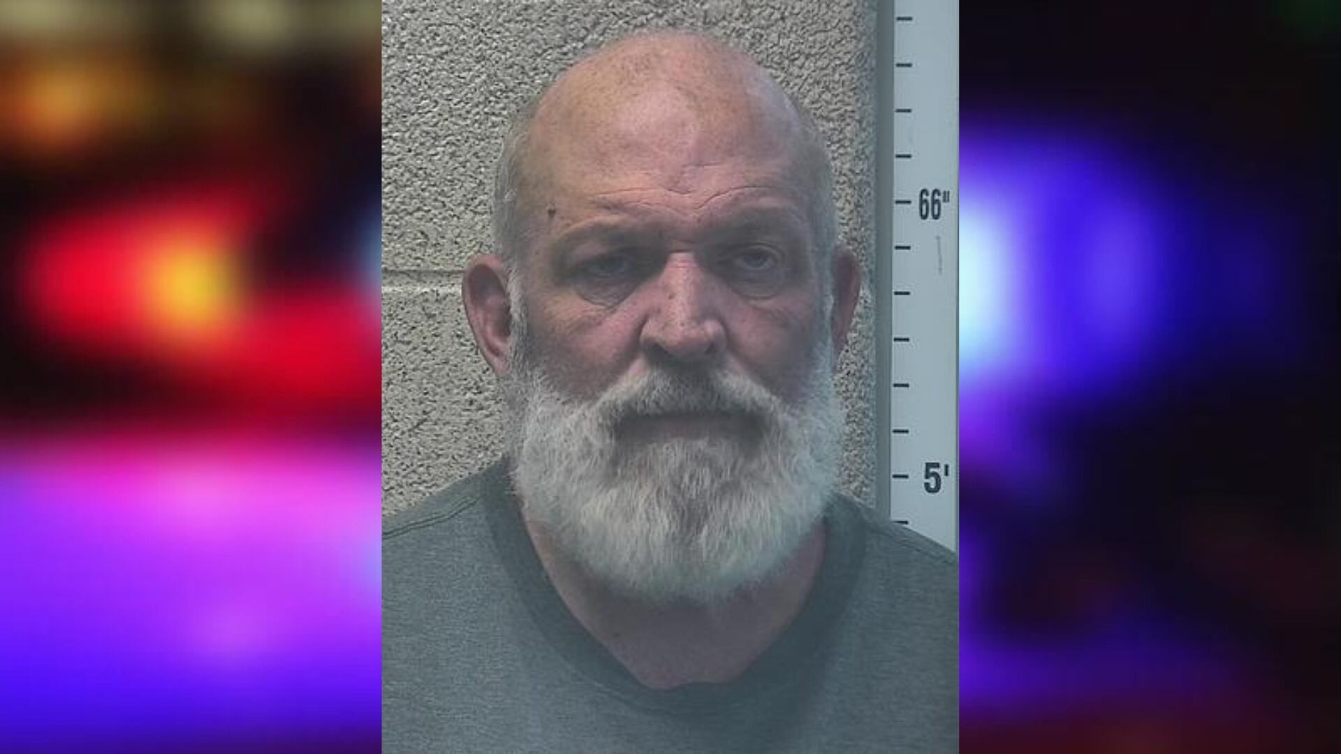 Anti-domestic violence non-profit founder arrested for domestic violence