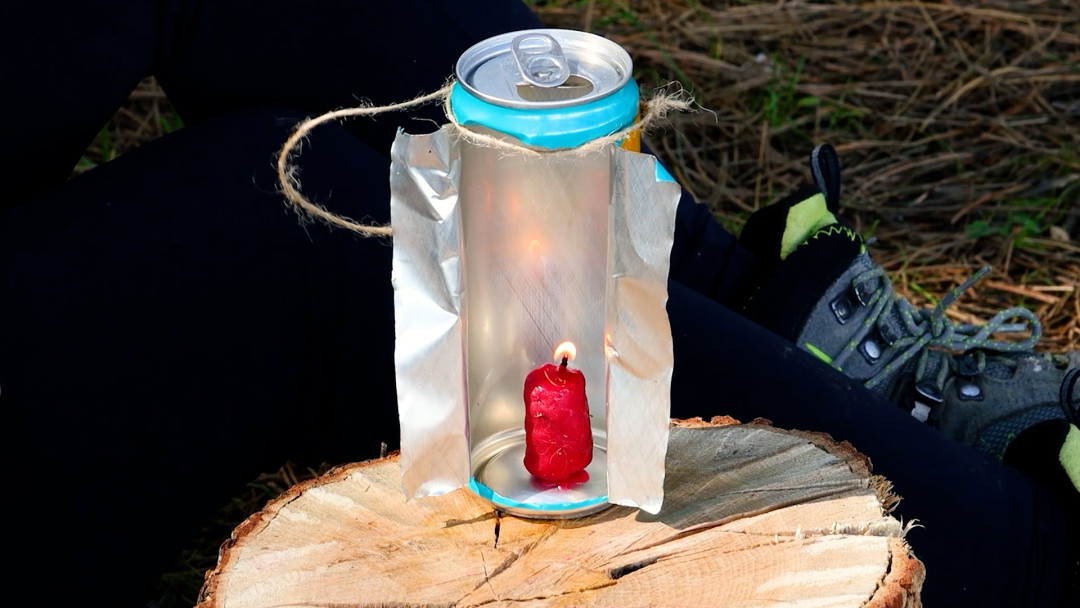 Whispered Tips: Nature's Survival Secrets