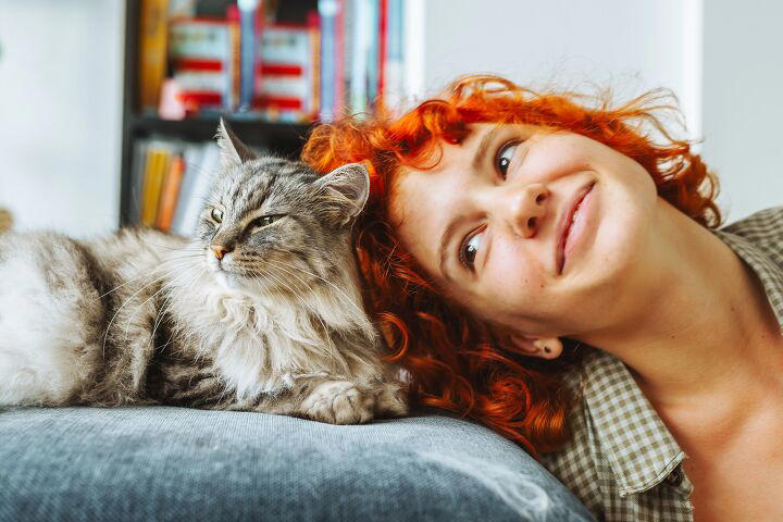 Things You Should Know as a First-Time Cat Parent