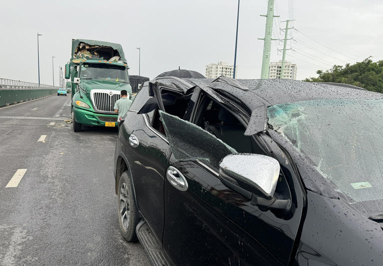 Violent gales slam Ho Chi Minh City, toppling crane, uprooting trees