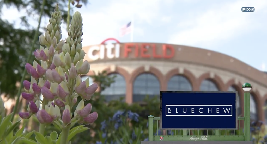 Keith Hernandez confused by Gary Cohen's BlueChew ad read