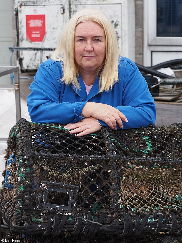 Fishermen's fury as 'disaster' octopus invasion destroys their catch ...