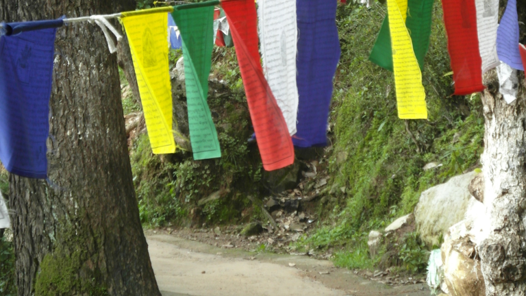 10 things that you experience when you travel with ZERO plans