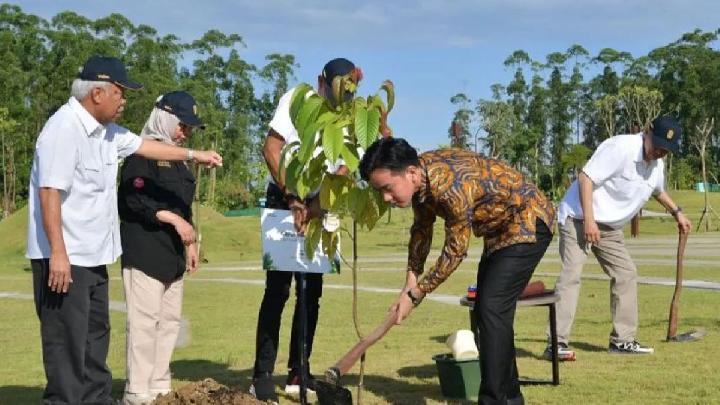 Gibran Tanam Pohon Ulin di IKN. Ini Arti dan Spesifikasi Kayu Ulin