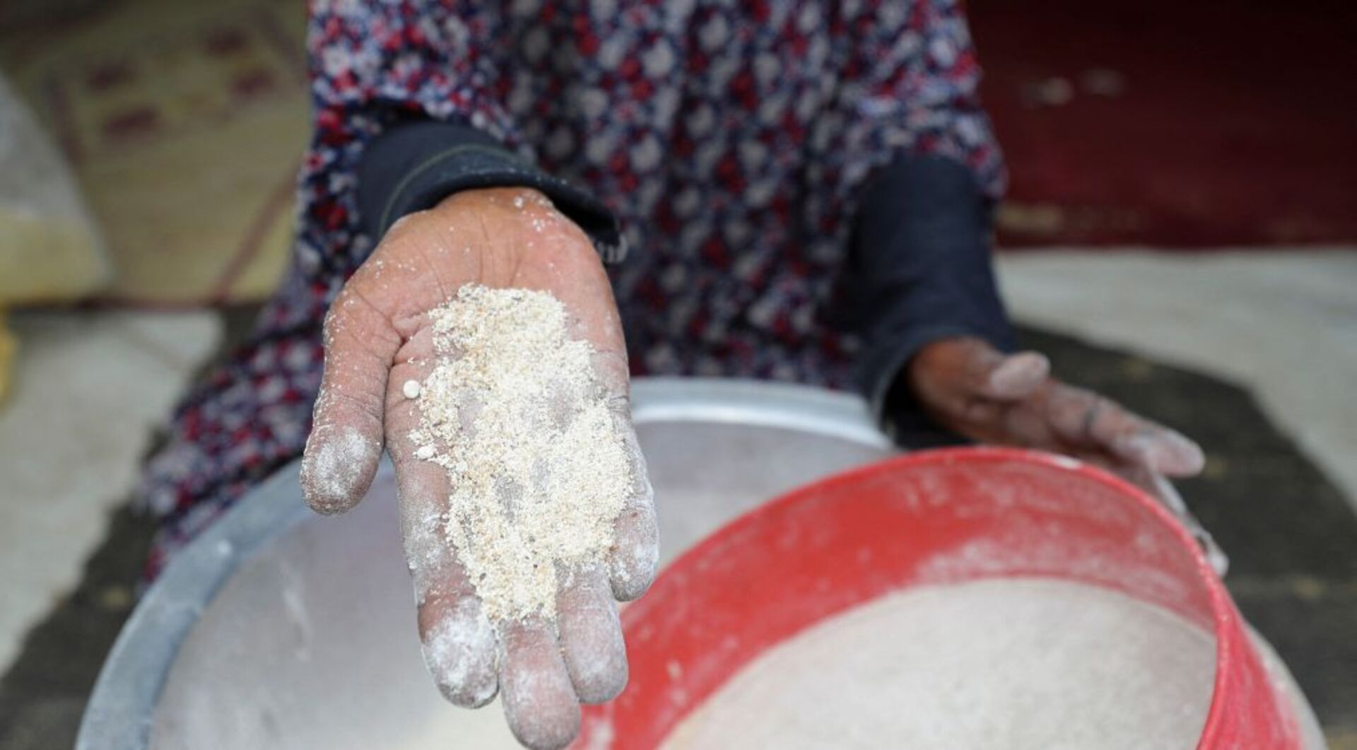 Gaza hunger crisis: Flour prices hit $20 per kilo as Israeli blockade ...