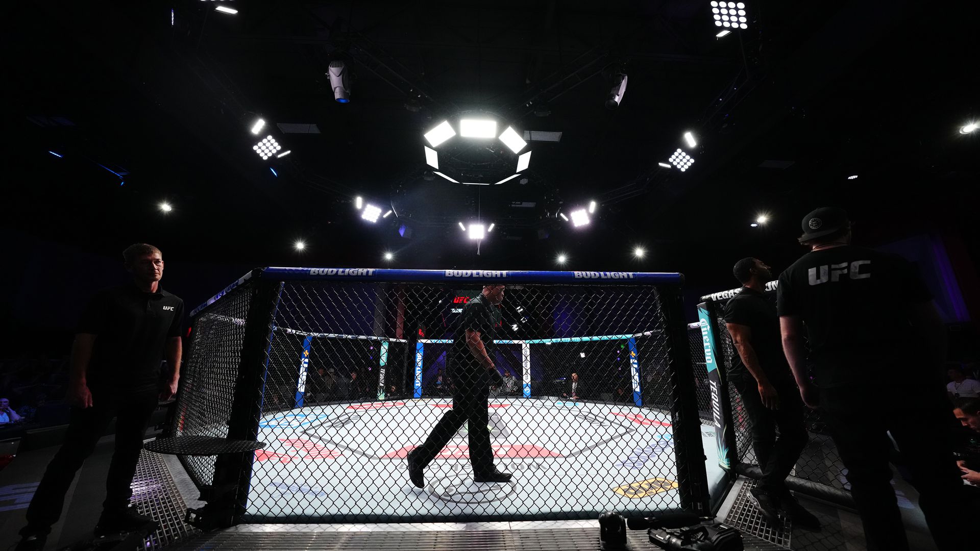 UFC 107 Vegas Results and Highlights