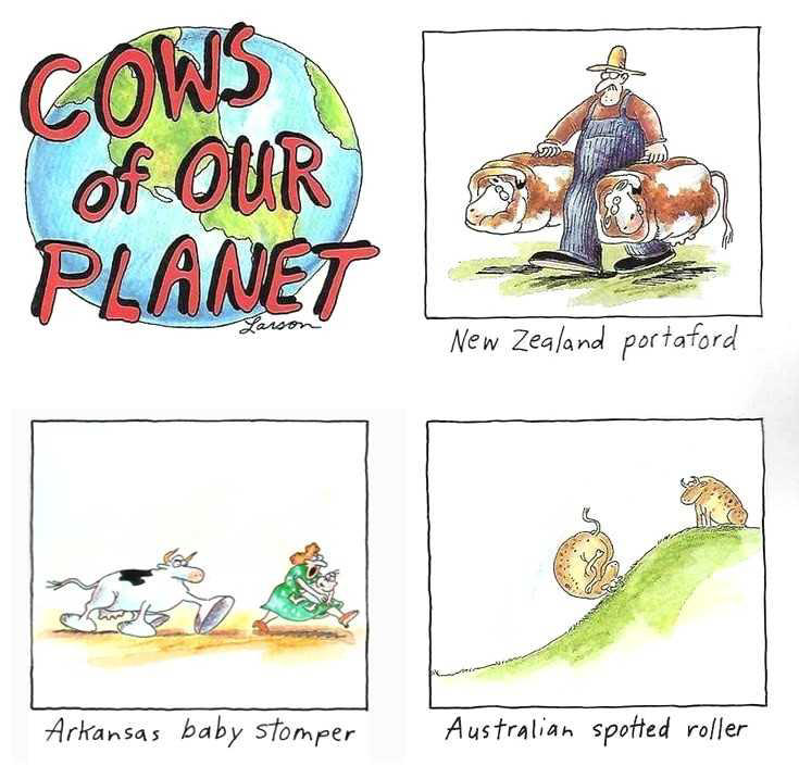 See the Far Side Comic That Represents Your US State (Gary Larson's ...