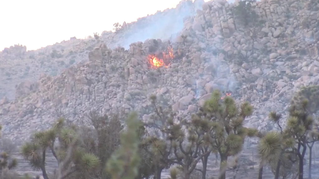 Firefighters continue battling Eureka Fire burning in Joshua Tree ...