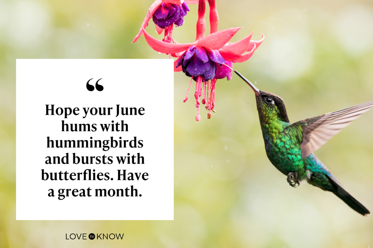 55+ Happy June Quotes That Offer Bright Blessings