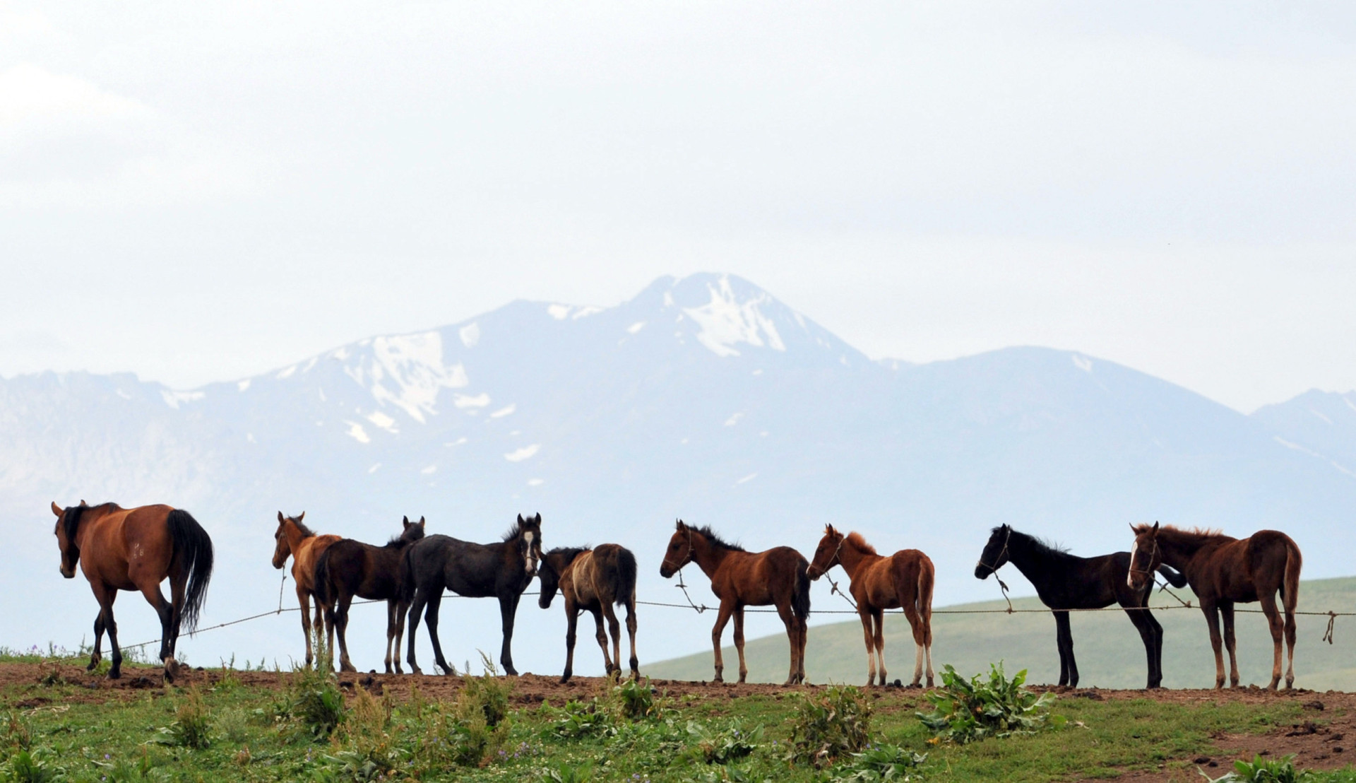 30 different symbols of kindness and compassion