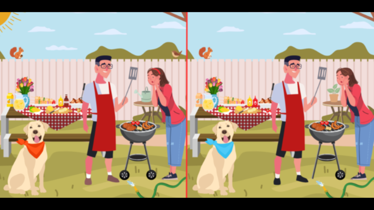 Optical Illusion: Spot The Differences In Under 10 Seconds!