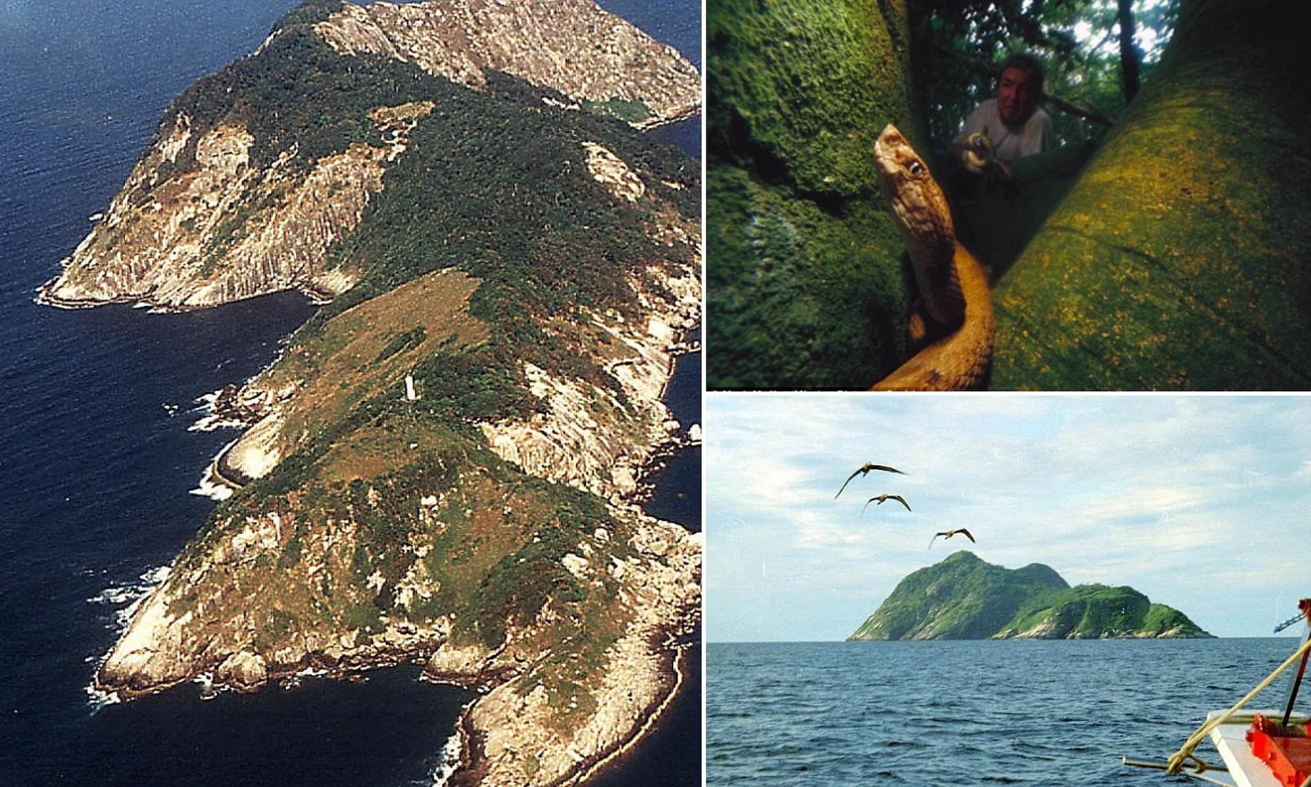 Inside the terrifying island where only soldiers and scientists are ...