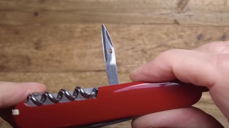 How To Sew With A Swiss Army Knife (And Why You Might Need To)
