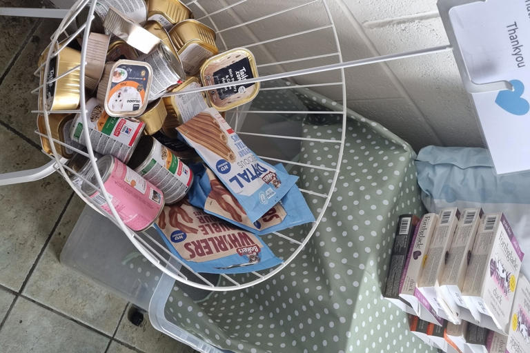 Wigan dog day care centre launches food bank to help rescue centres and ...