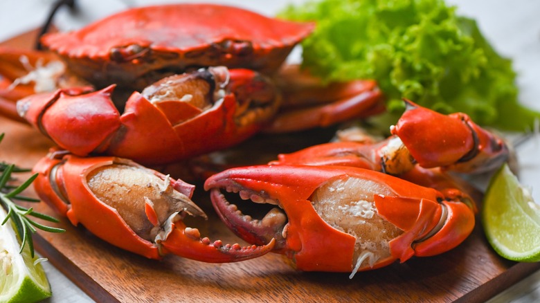 12 Imitation Crab Myths Debunked