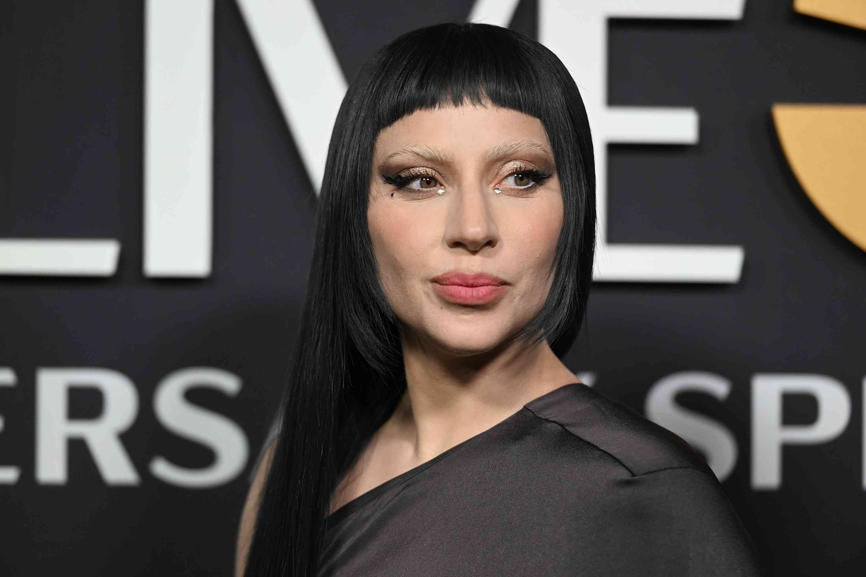 Lady Gaga Looks Unrecognizable with a Purple-Tinted Gray Bouffant Hair ...