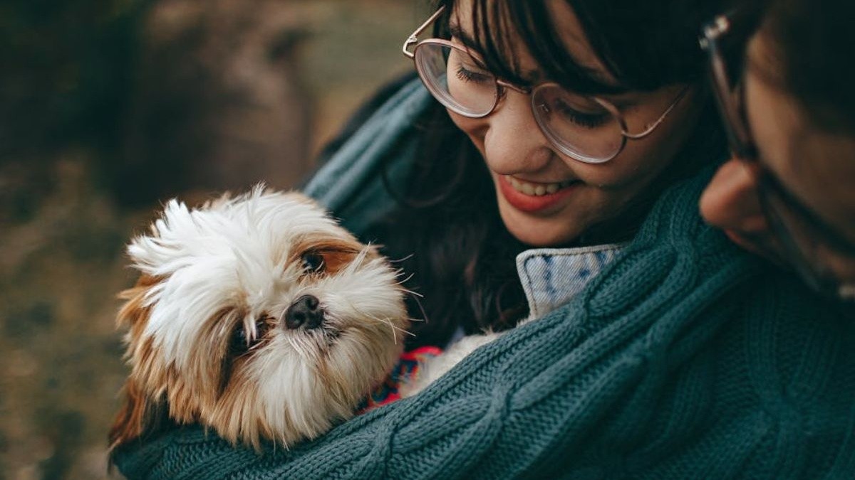 17 things your dog does when he's mad at you