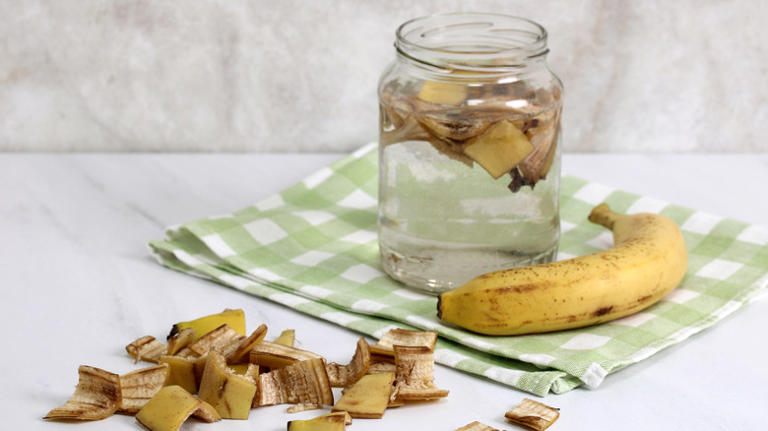 Kitchen Scraps You Can Reuse In The Garden As A Natural Fertilizer