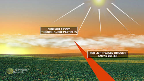 ASK A MET: How wildfire smoke turns the sky an eerie red