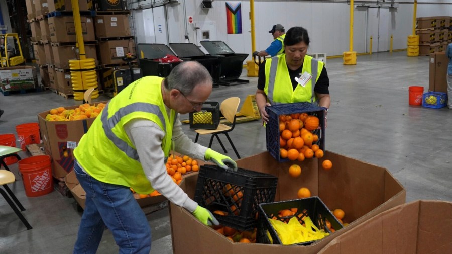 Opinion: Federal food aid cuts will cause America’s hunger crisis to ...