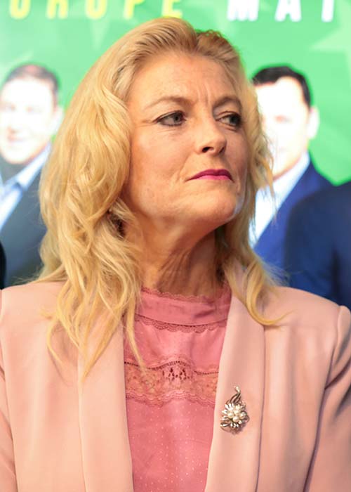 Cynthia vs Mary? Fianna Fáil may soon choose between key contenders for ...