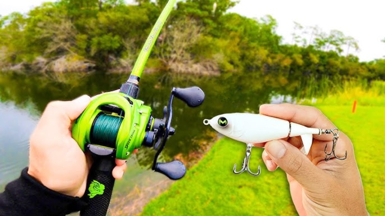 Why pressured fish stop hitting topwater