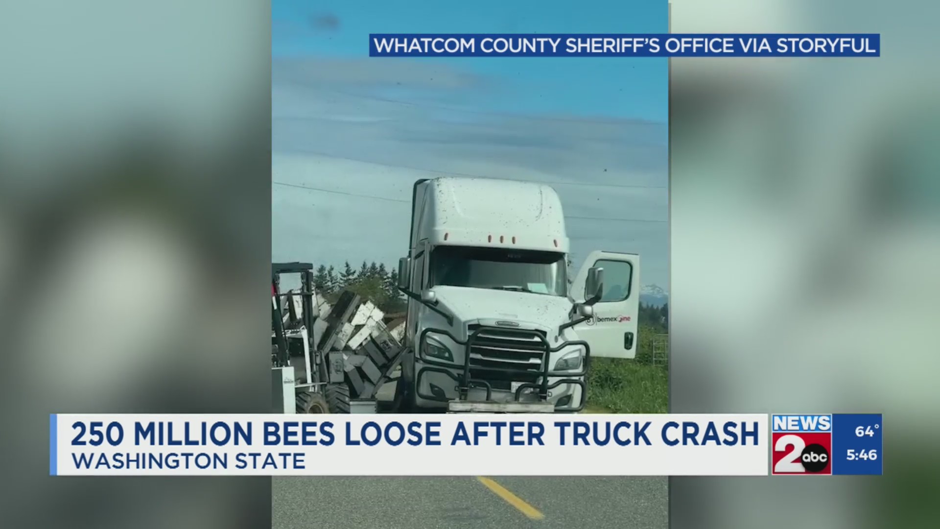 250 million bees loose after truck crash