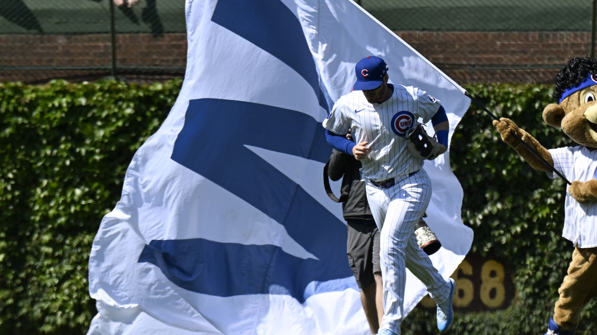 Cub Tracks’ Brown outs
