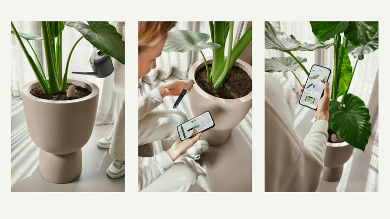 Thanks to Elho's Smart Pebble, caring for my houseplants has never been ...