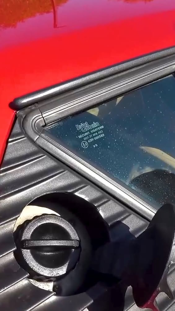 Rare 1 of 41! De Tomaso Pantera