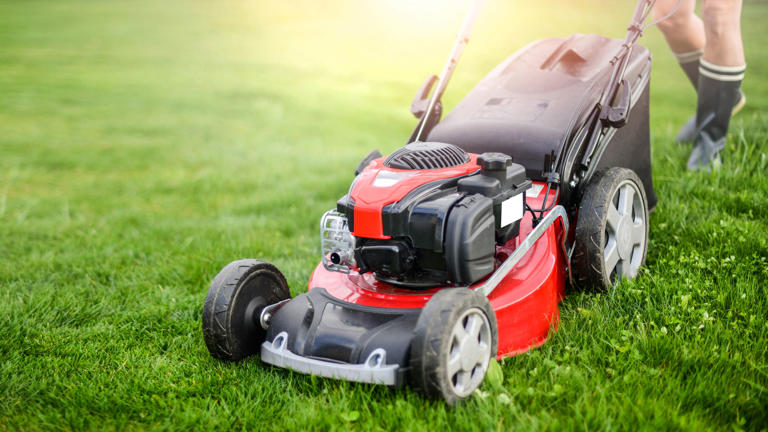 11 secrets to a lawn that’s greener than your neighbor's