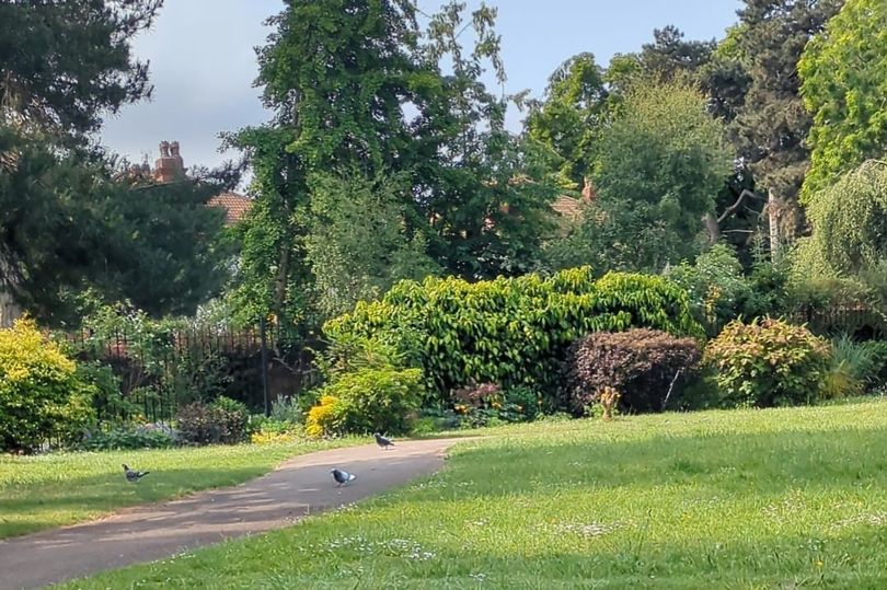 Plants stolen from sensory garden at popular park near Bristol
