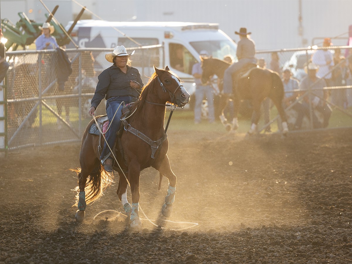 March Editors' photo challenge announced: Chasing Summer