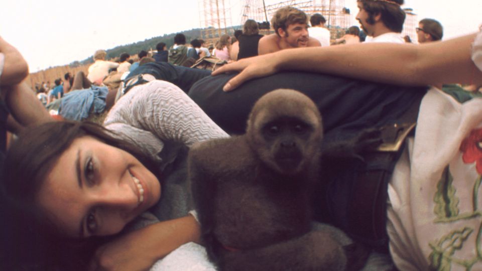 What’s behind the decline of music festivals?