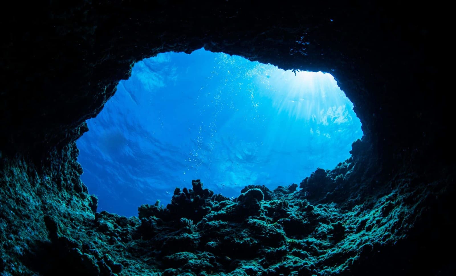 Scientists Discover Giant Water Sponge Under Oregon—Twice the Volume of ...