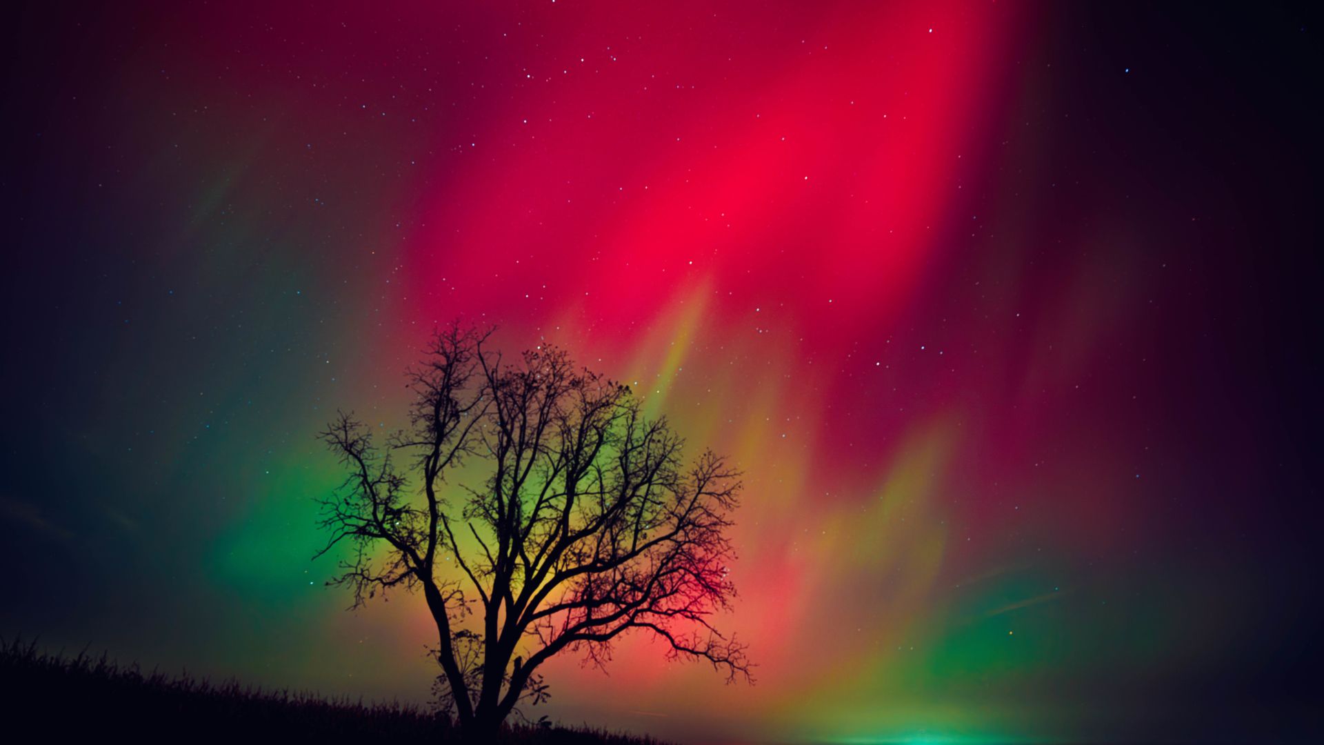 Aurora alert: Ongoing powerful geomagnetic storm could spark more ...