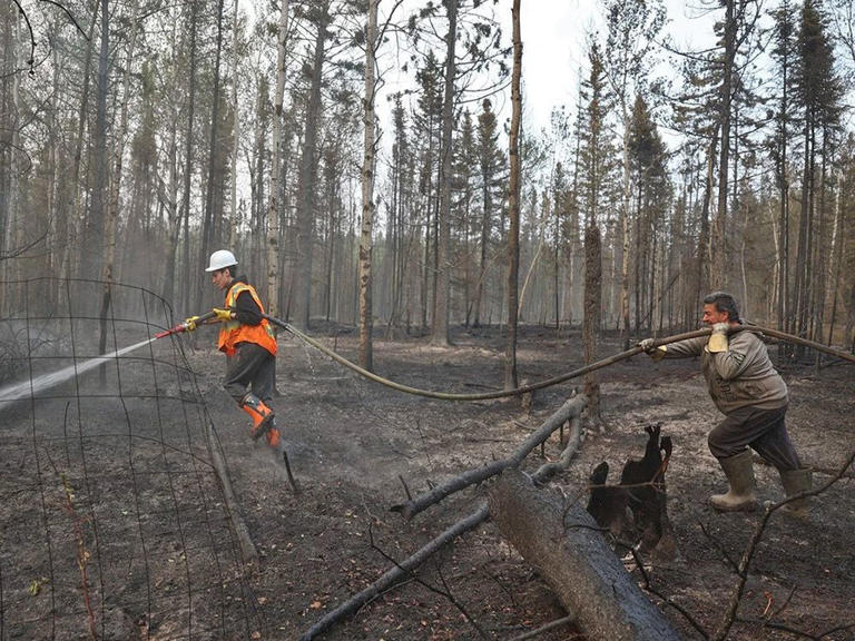 Wildfire updates: Evacuation notice issued near Hawk Hills | Kelly Lake ...