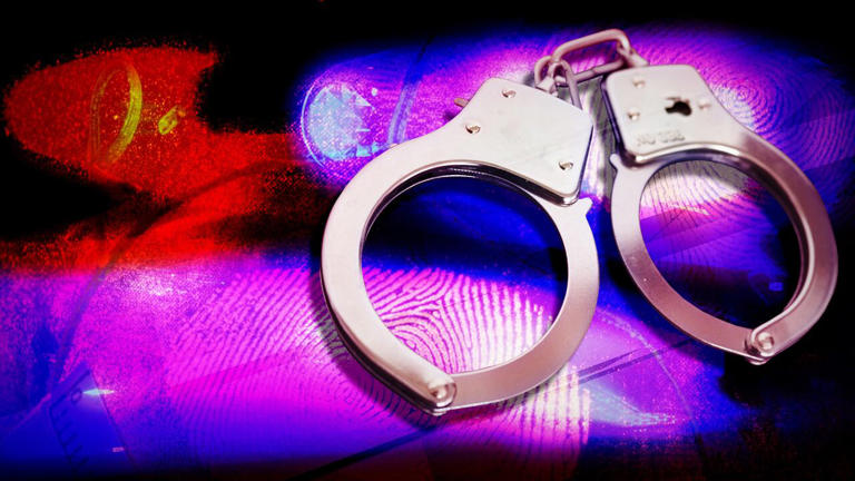 1 arrested after search warrant reveals large quantities of drugs, guns