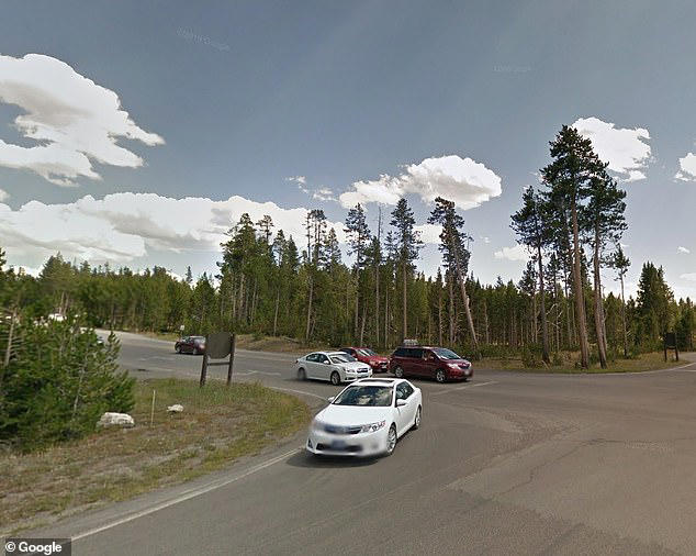 Yellowstone tourist's idiotic defense for hitting worker with his Jeep