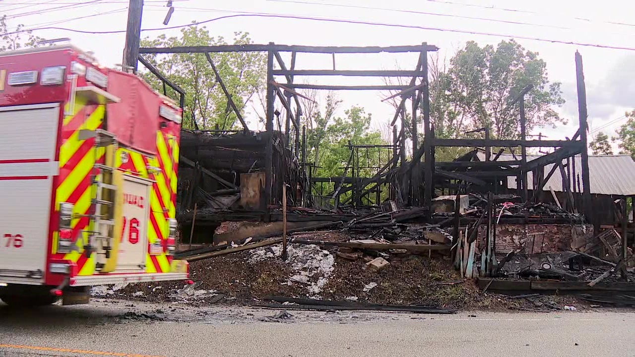 Tragic fire at Pawsibilities Animal Rescue claims lives of 15 cats with ...