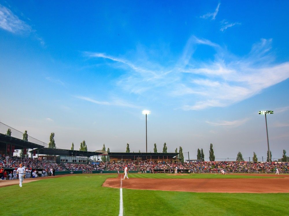 Dawgs take down Bulls to secure first win of the season