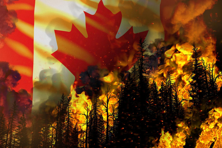 Canada Asks U.S. For Help As Raging Wildfires Impact Millions On Both ...