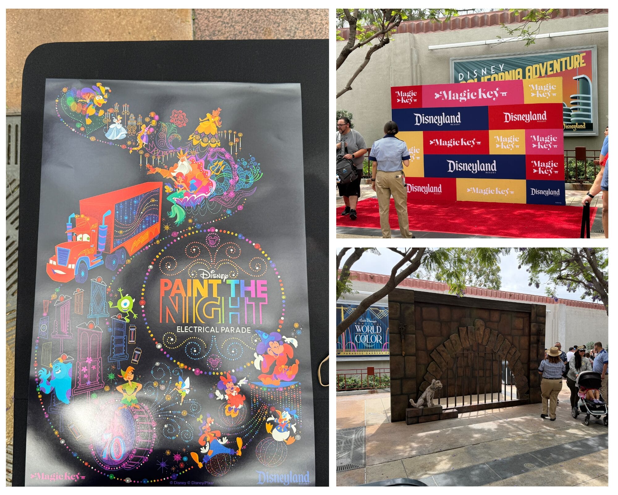 70th Anniversary Photo Ops & Paint the Night Poster Arrive for Magic ...