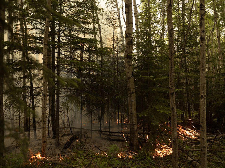 Wildfire live updates: Evacuation notice issued near Hawk Hills | Kelly ...