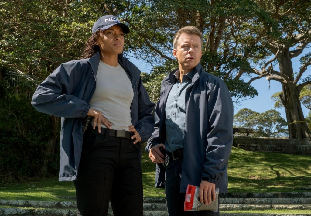 How to Watch Every NCIS Show in Order?