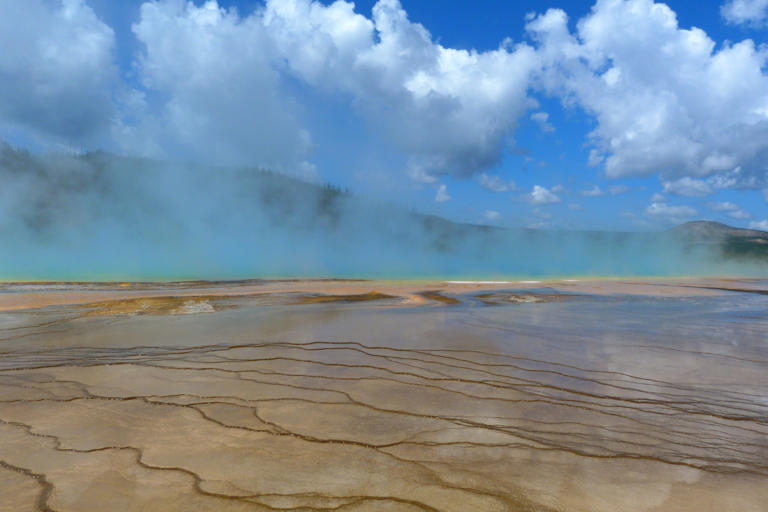 Think You Know Yellowstone? These Surprising Facts Will Change How You ...