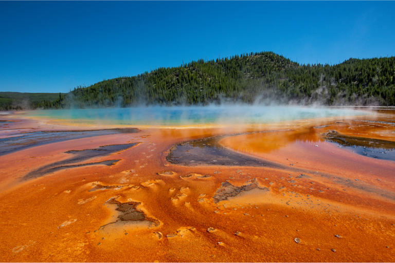 Think You Know Yellowstone? These Surprising Facts Will Change How You ...